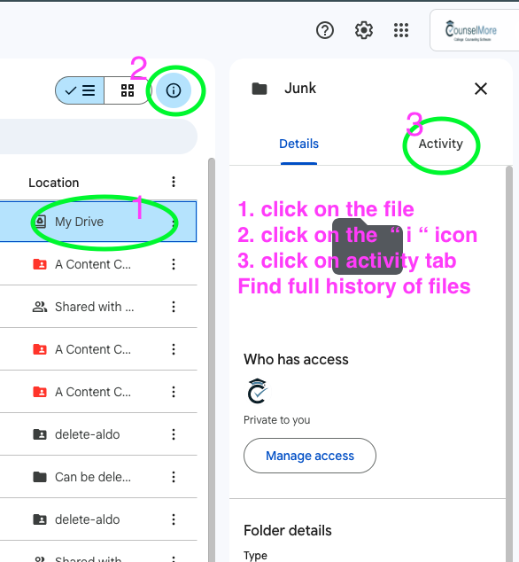 How to view Google Drive File Folder Activity History